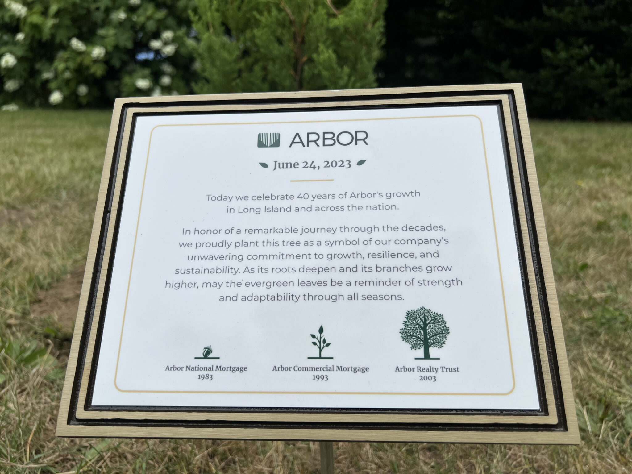 Arbor Plants a Tree, Symbolizing Our Strength, to Mark Three Anniversaries